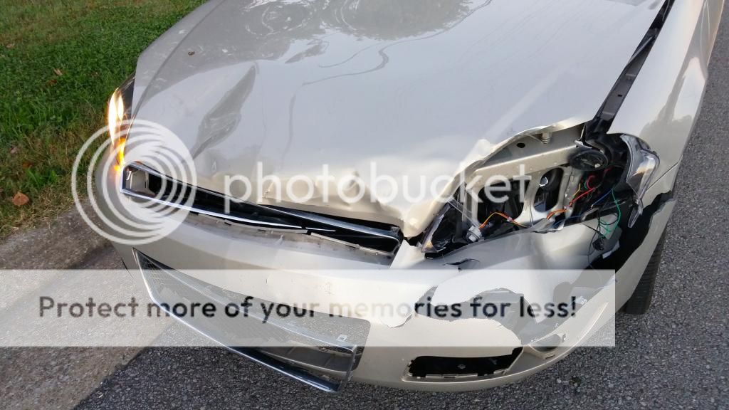 Deer! | Impala Forums