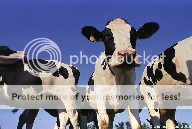 Farming and Literature